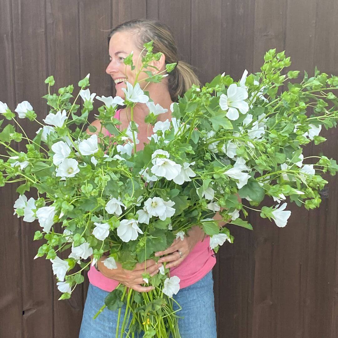 How To Sow, Grow & Give Cut Flowers – The Floral Project