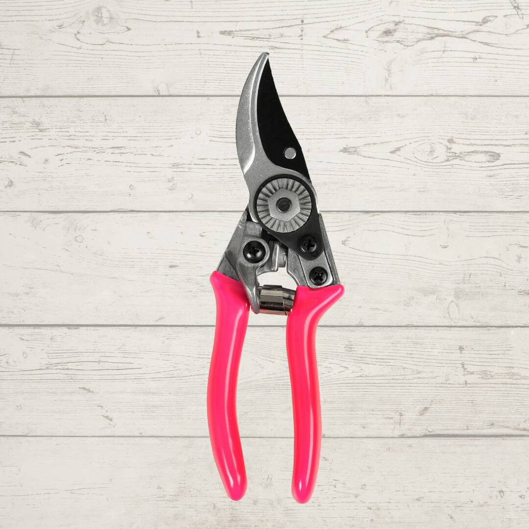 Pretty in Pink Secateurs – The Floral Project