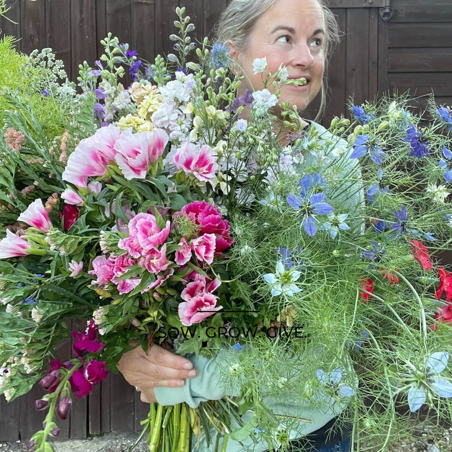 Seeds & More – The Floral Project